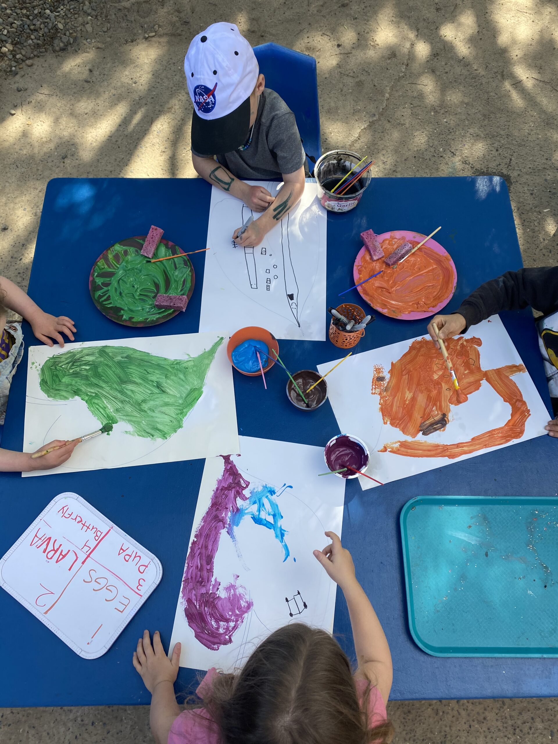 Programs – Discovery Learning Center