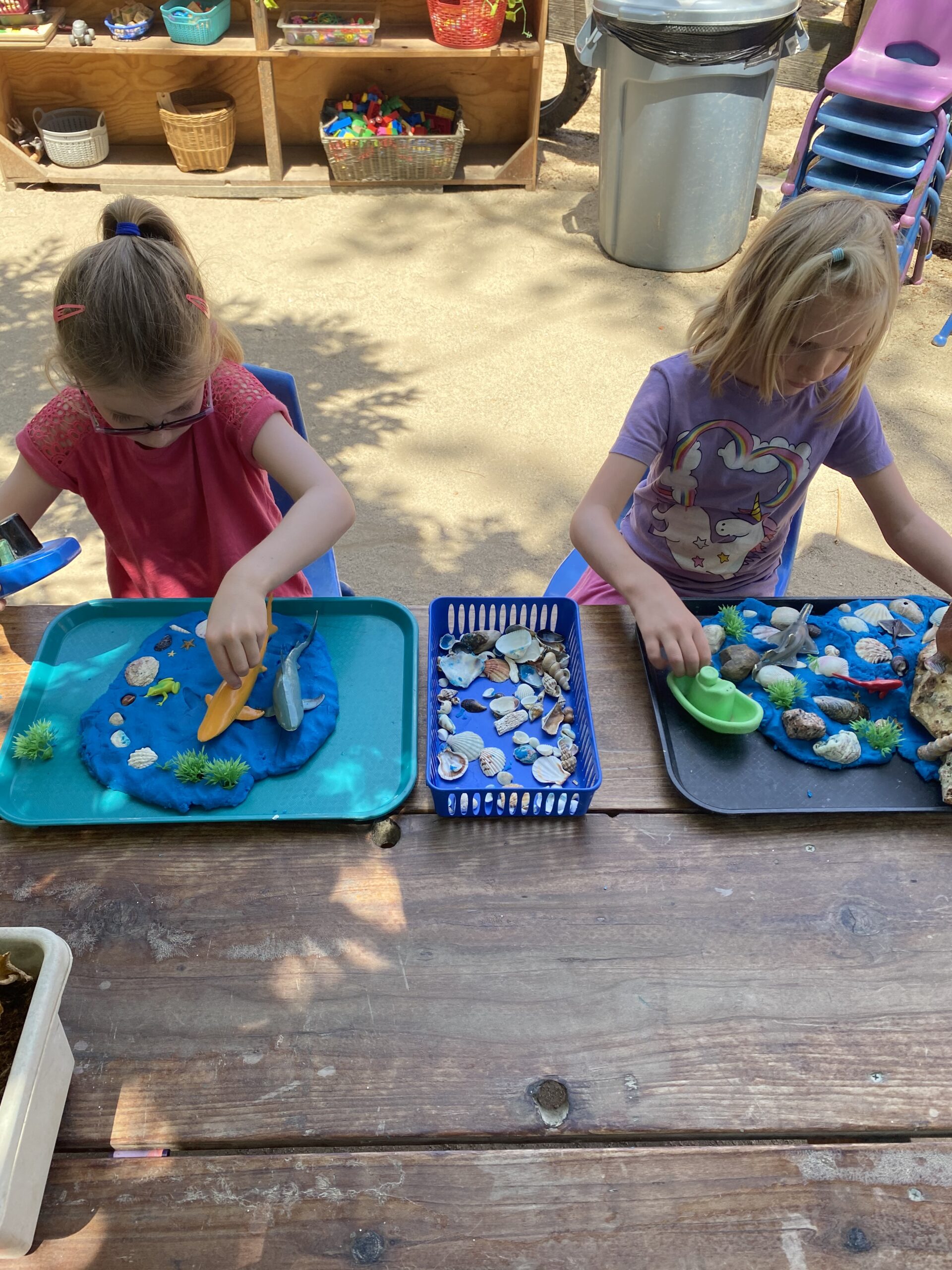 Programs – Discovery Learning Center