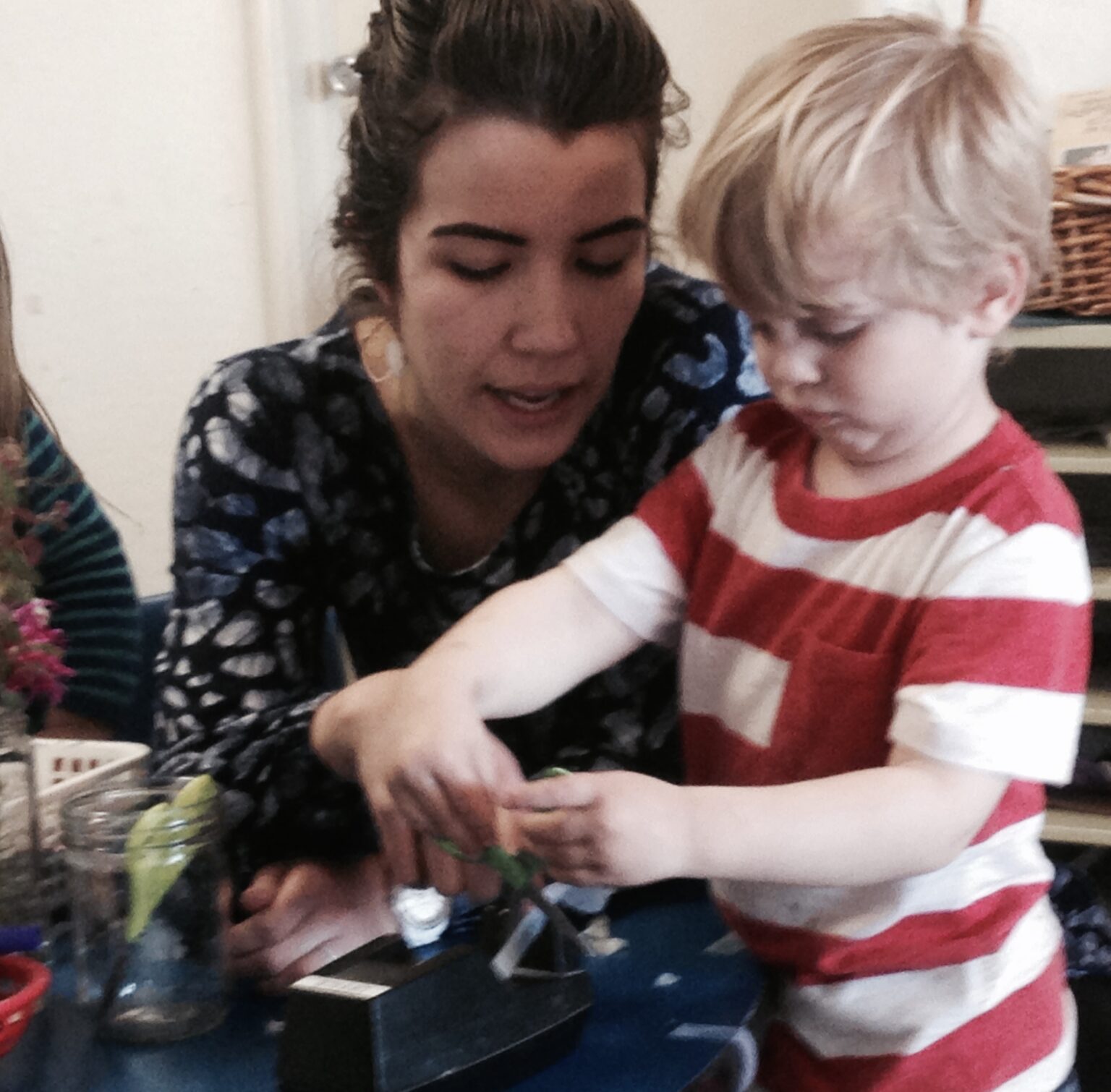 Curriculum – Discovery Learning Center